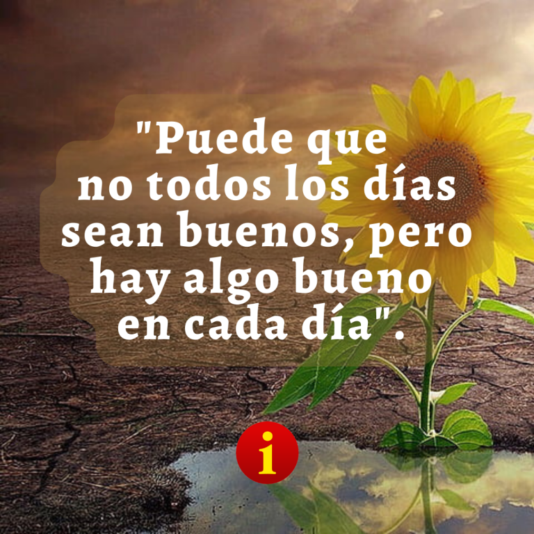 "Puede que no todos los días sean buenos, pero hay algo bueno en cada ...