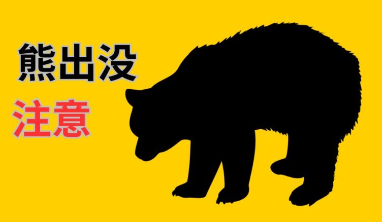 Tokio autoriza caza de osos por aumento de avistamientos en zonas ...