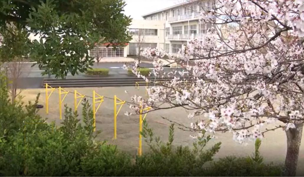 Encuentran la cabeza de un conejo en escuela primaria de Shizuoka ...
