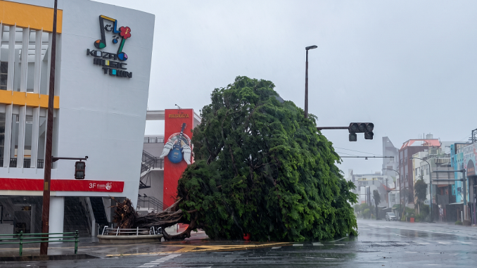 Tifón Nº 6 provoca 12 heridos y vientos récord en Okinawa ...